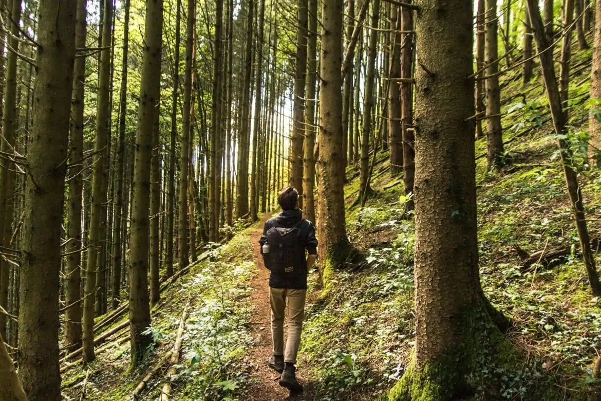 Lee Trail laat je kennis maken met hiken in mooi Luxemburg