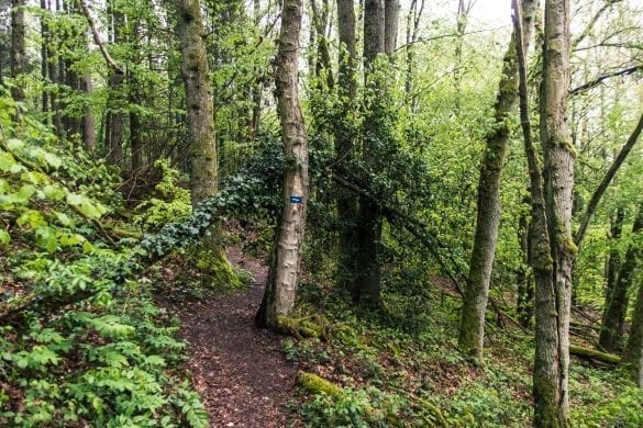 Lee Trail laat je kennis maken met hiken in mooi Luxemburg