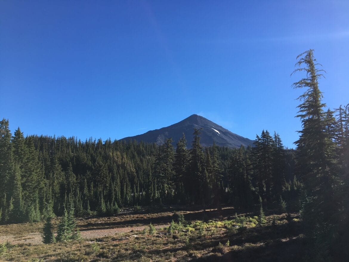 Door de Three Sisters Wilderness in Oregon (PCT)