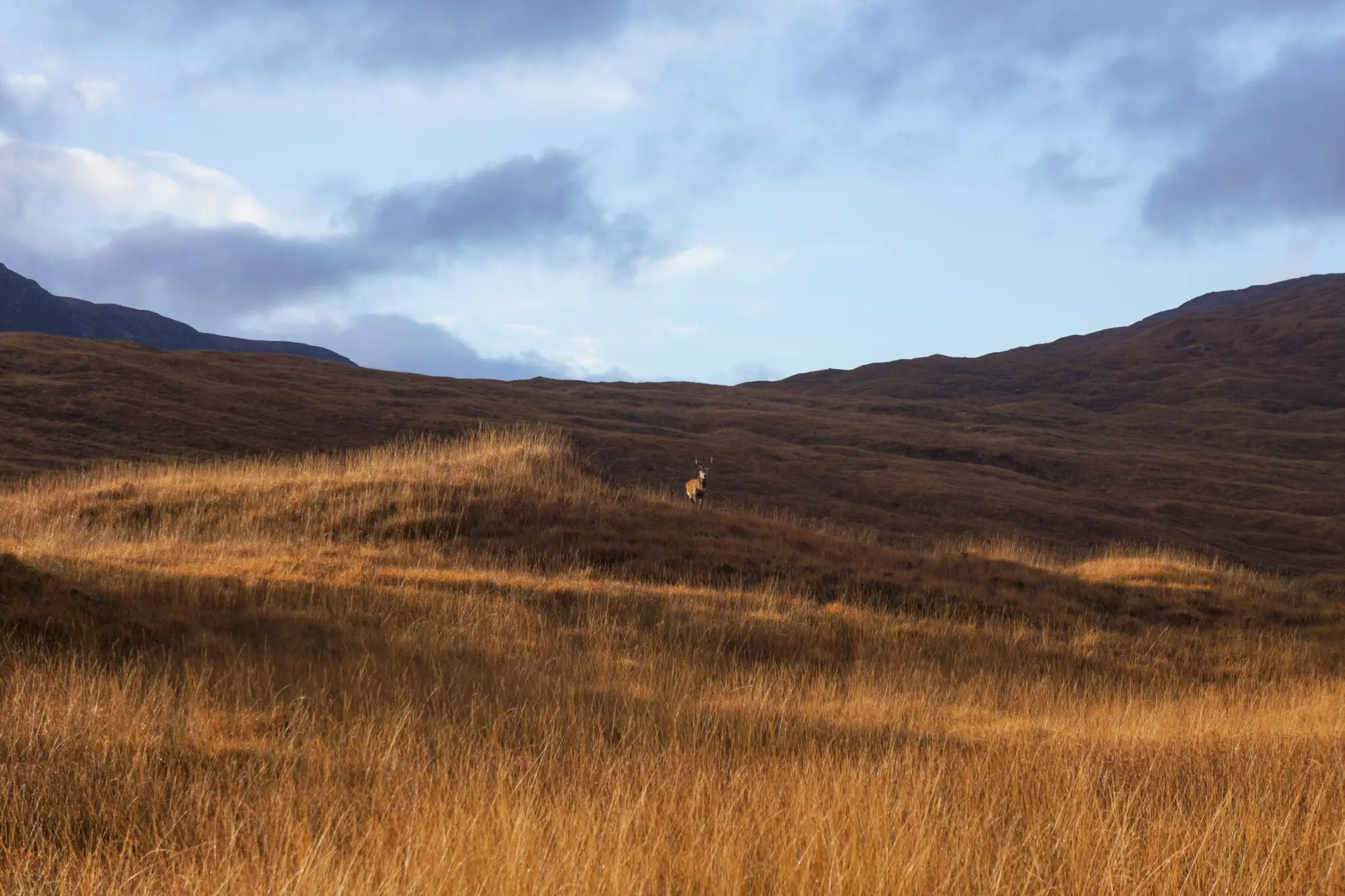 Rannoch Moor en regen - West Highland Way - The Hike