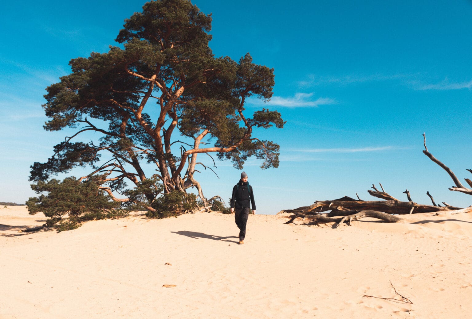 Op ontdekking door Nationaal Park de Hoge Veluwe - The Hike