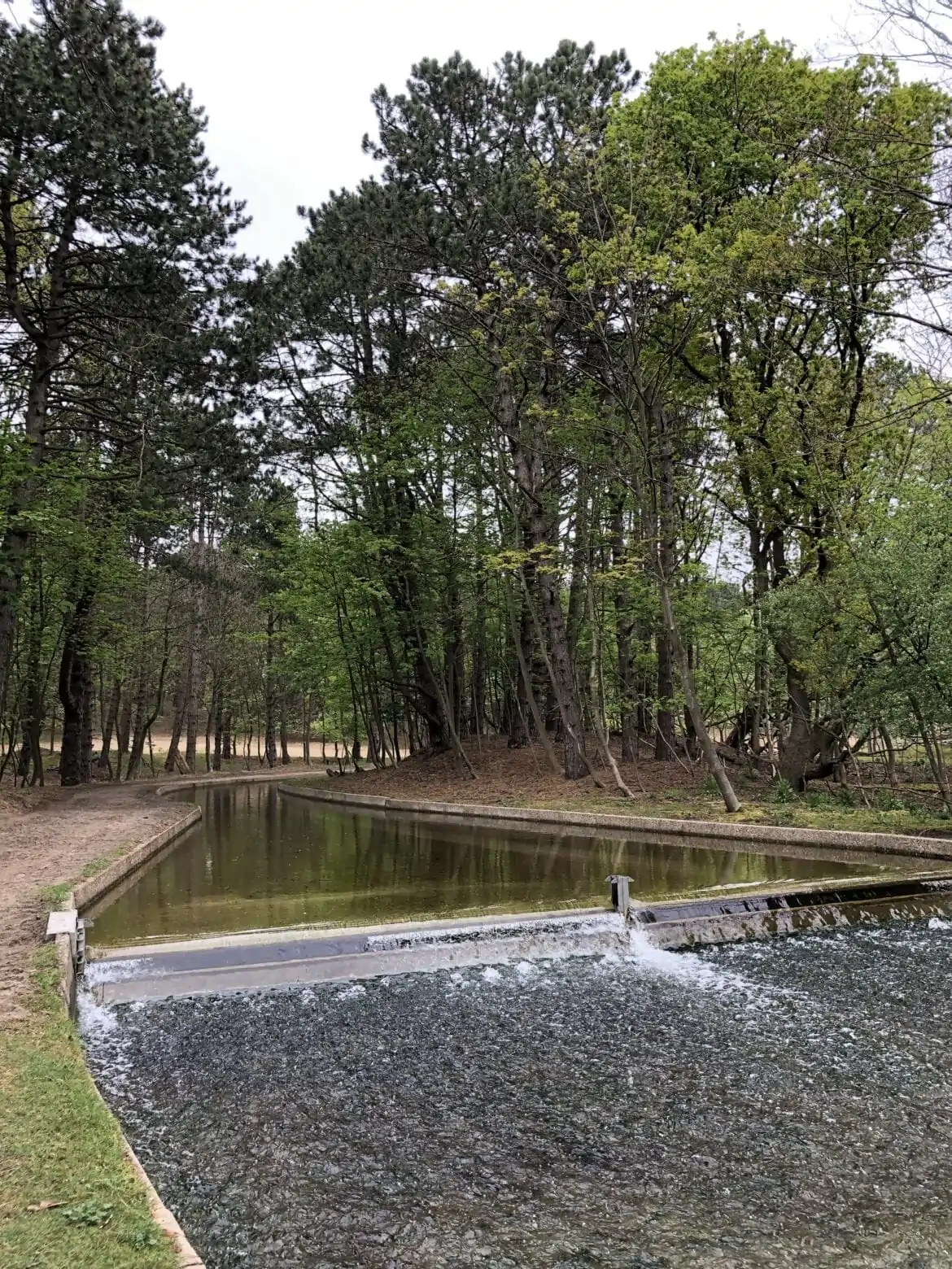 Amsterdamse Waterleidingduinen - de mooiste wandelroutes - The Hike