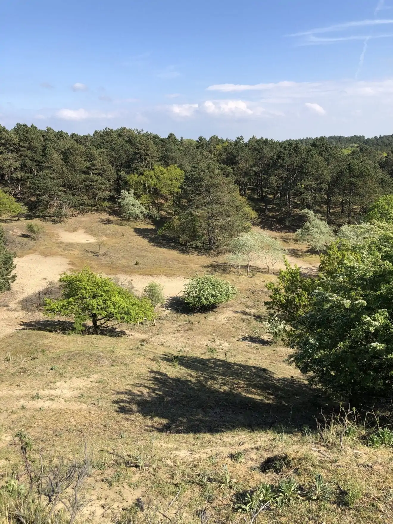 Amsterdamse Waterleidingduinen - de mooiste wandelroutes - The Hike