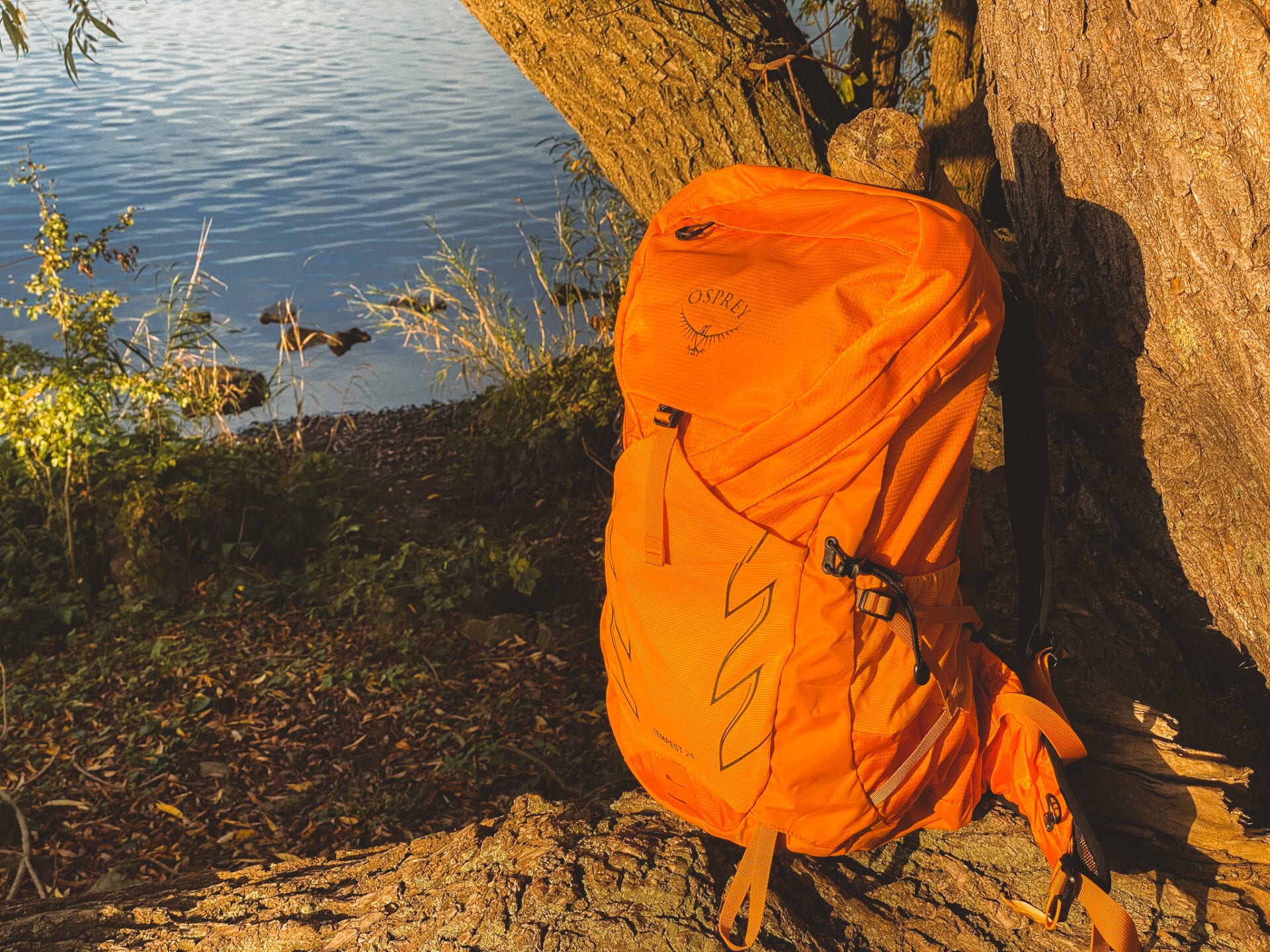 Osprey Tempest 24: een handig formaat tussen daypack en backpack in