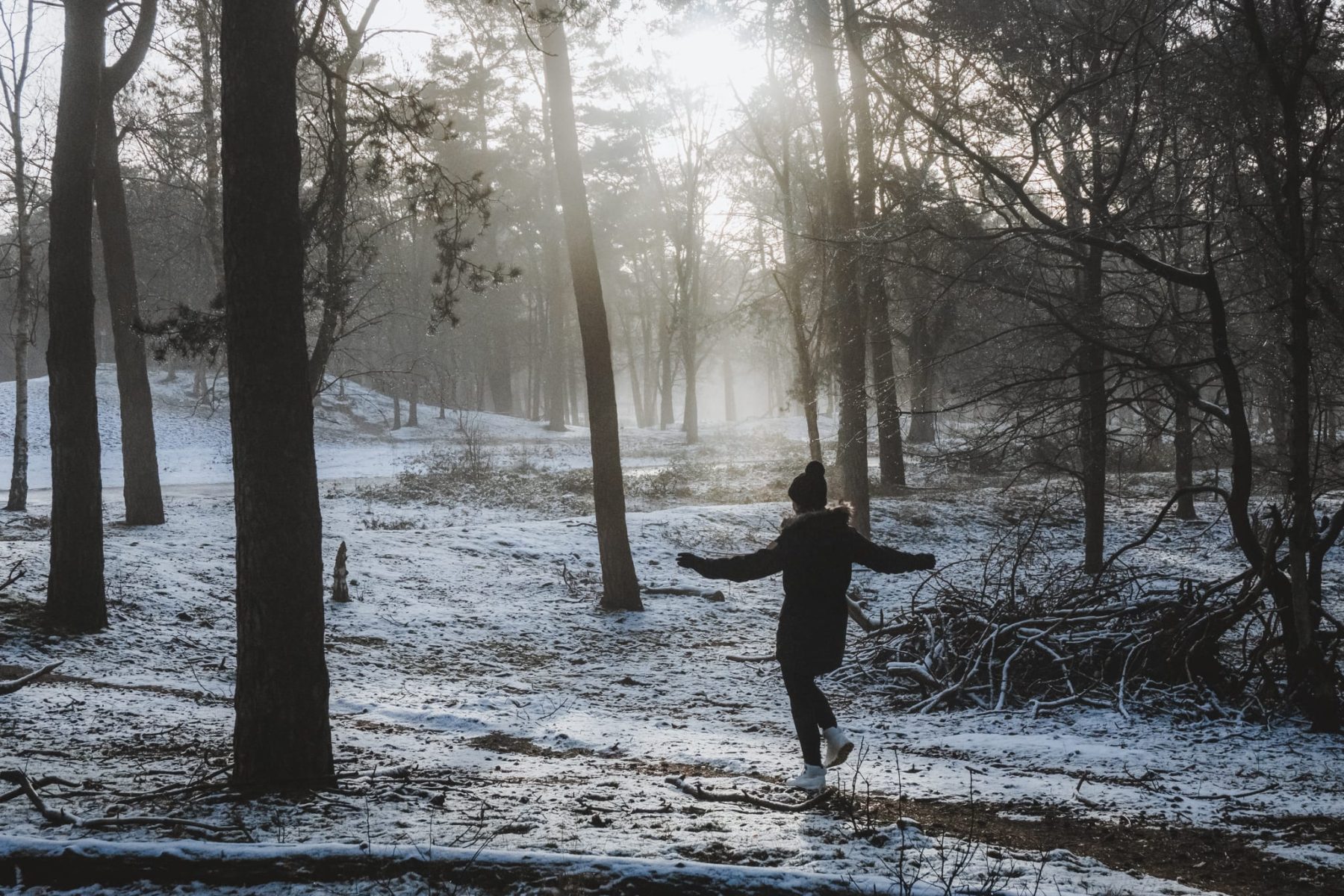 Rondstruinen in natuurgebied Surae (Boswachterij Dorst) - The Outdoors
