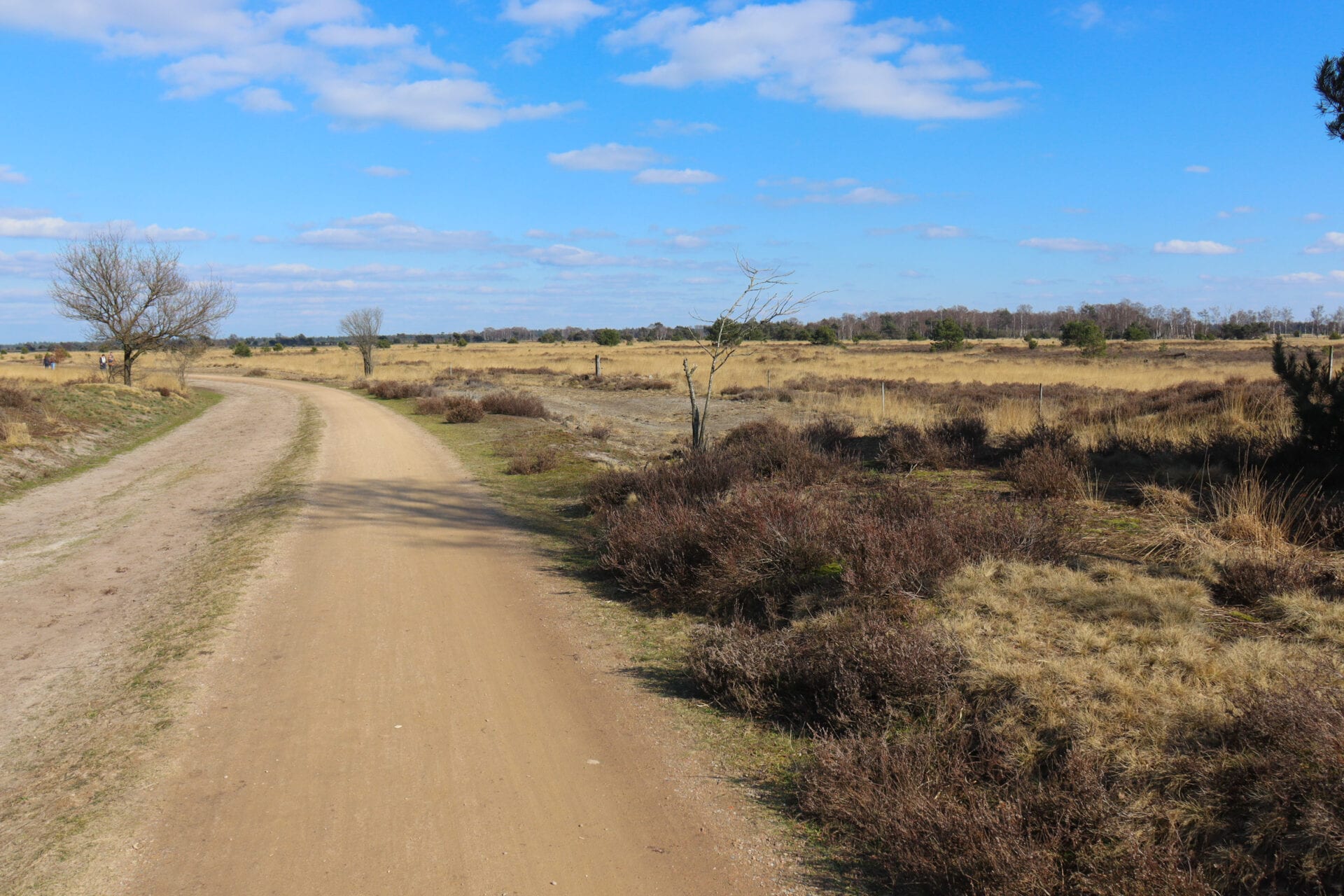De Strabrechtse Heide, alle mogelijkheden in dit mooie gebied - The Hike