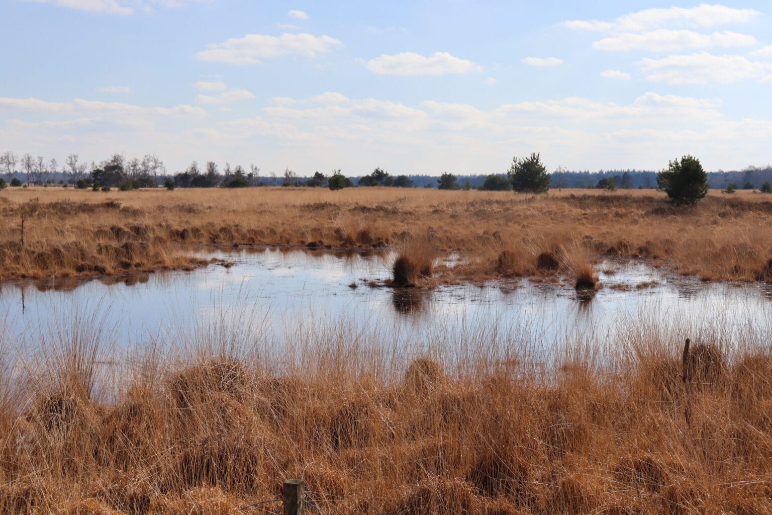 De Strabrechtse Heide, alle mogelijkheden in dit mooie gebied - The Hike