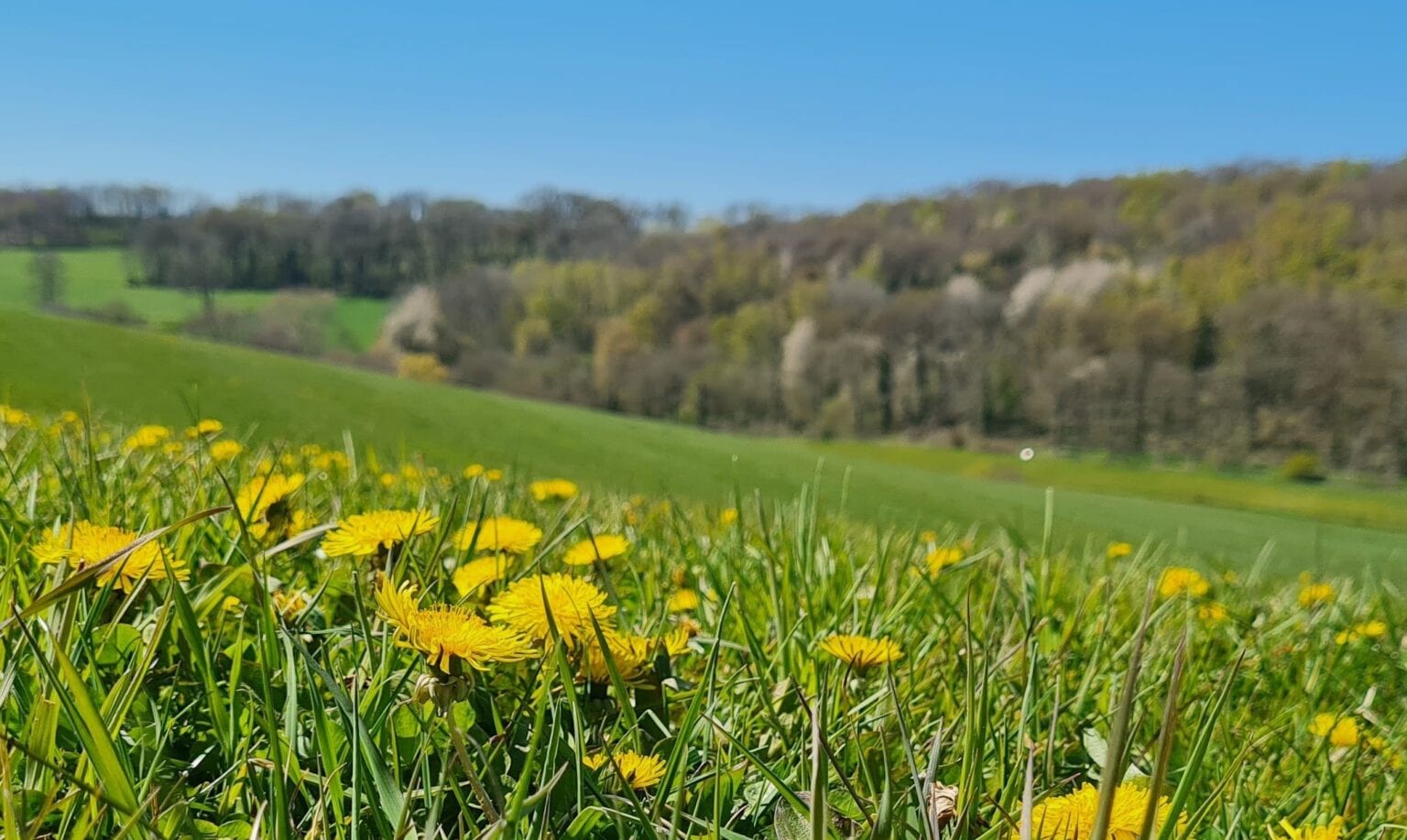 Dutch Mountain Trail is de zwaarste wandeling van Nederland - The Hike