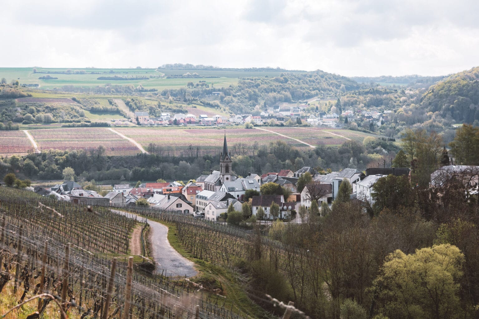 Hike door de prachtige wijngaarden van de Luxemburgse Moezel