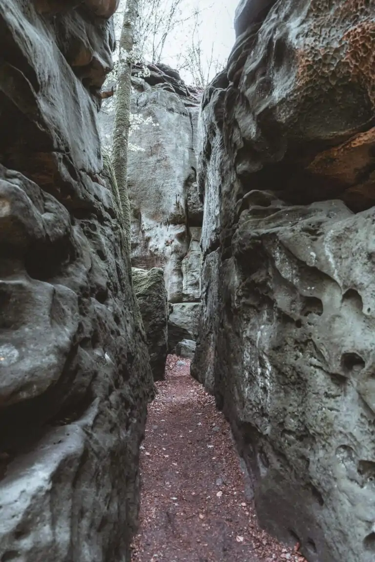 Mullerthal Trail is de mooiste hike van Luxemburg - The Hike