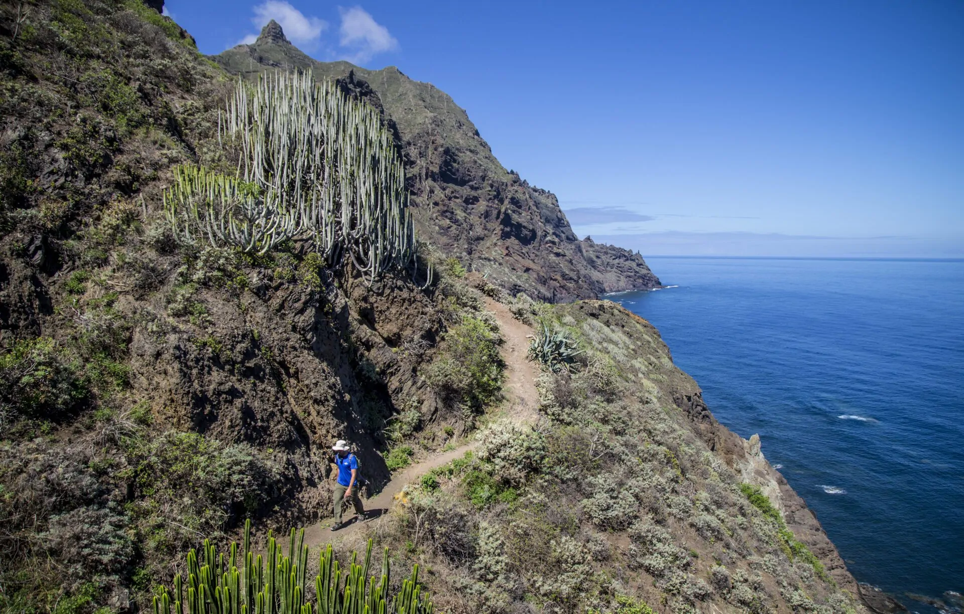 Top 10 beste trails voor hiking op Tenerife - The Hike