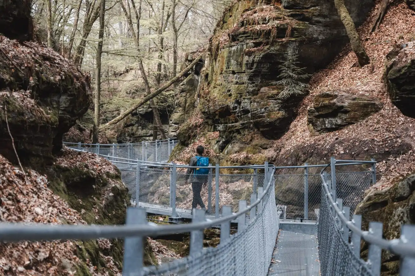 De Mullerthal Trail is de mooiste hike van Luxemburg | The Hike