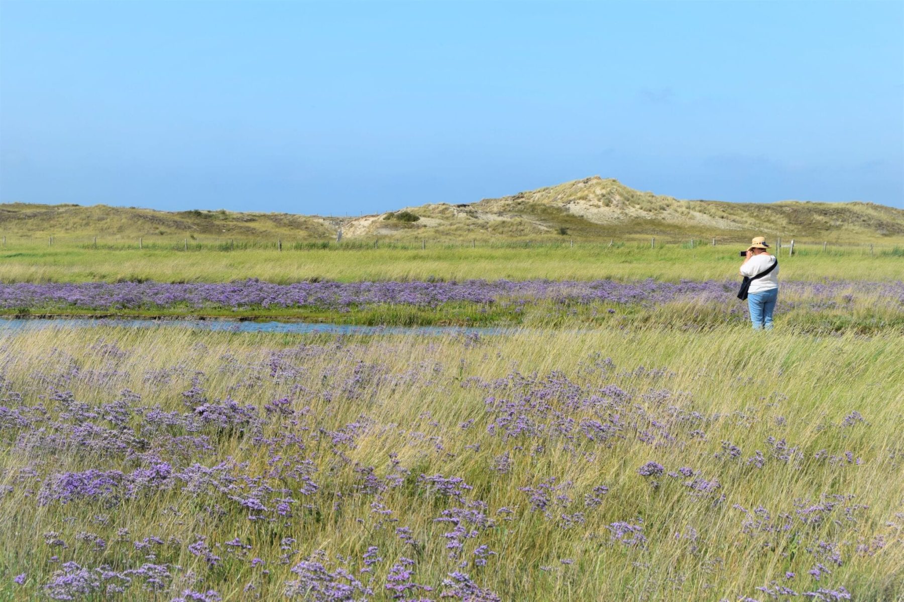 Het Zwin: Een bijzonder stukje kust tussen Nederland en België