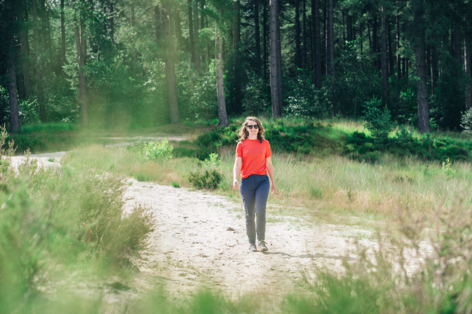 Wandelen in Brabant: Dit zijn 10 mooie routes- The Outdoors