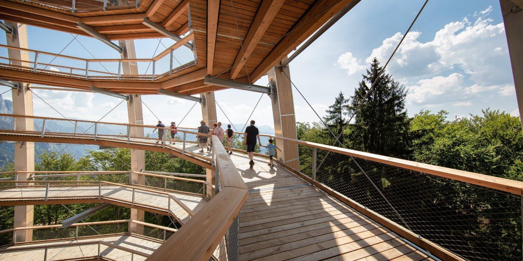 19 wandeltochten over loopbruggen tussen de boomtoppen - The Hike