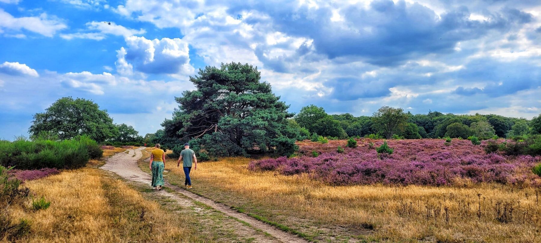 NS wandelingen, alles wat je erover wilt weten - The Hike