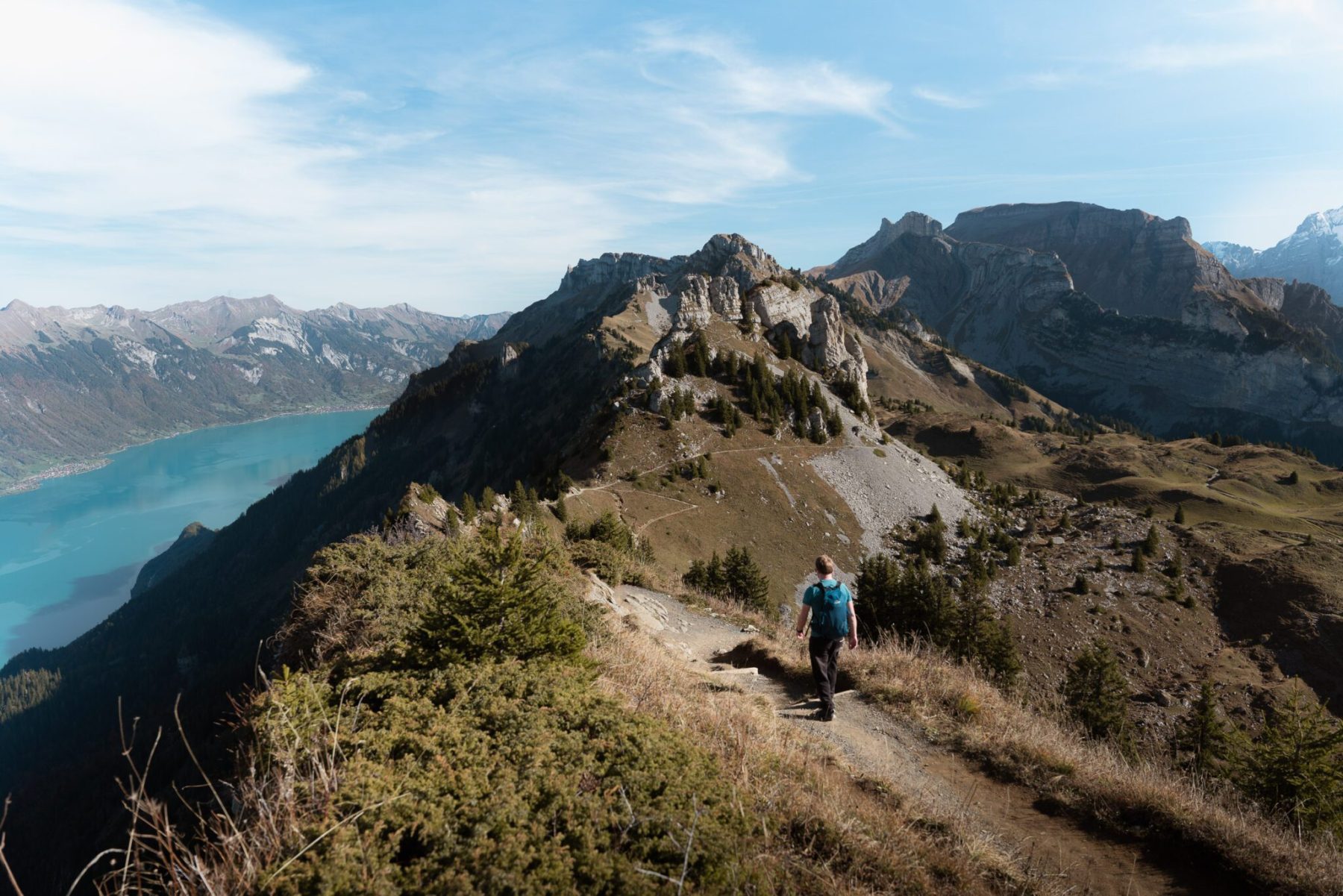 Wandelen op Schynige Platte, hoogvlakte en bergkam in één - The Hike