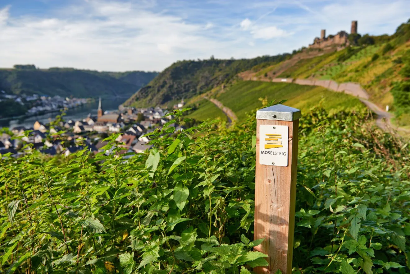 Moselsteig trail: dé wandelroute door de wijngaarden van de Moezel