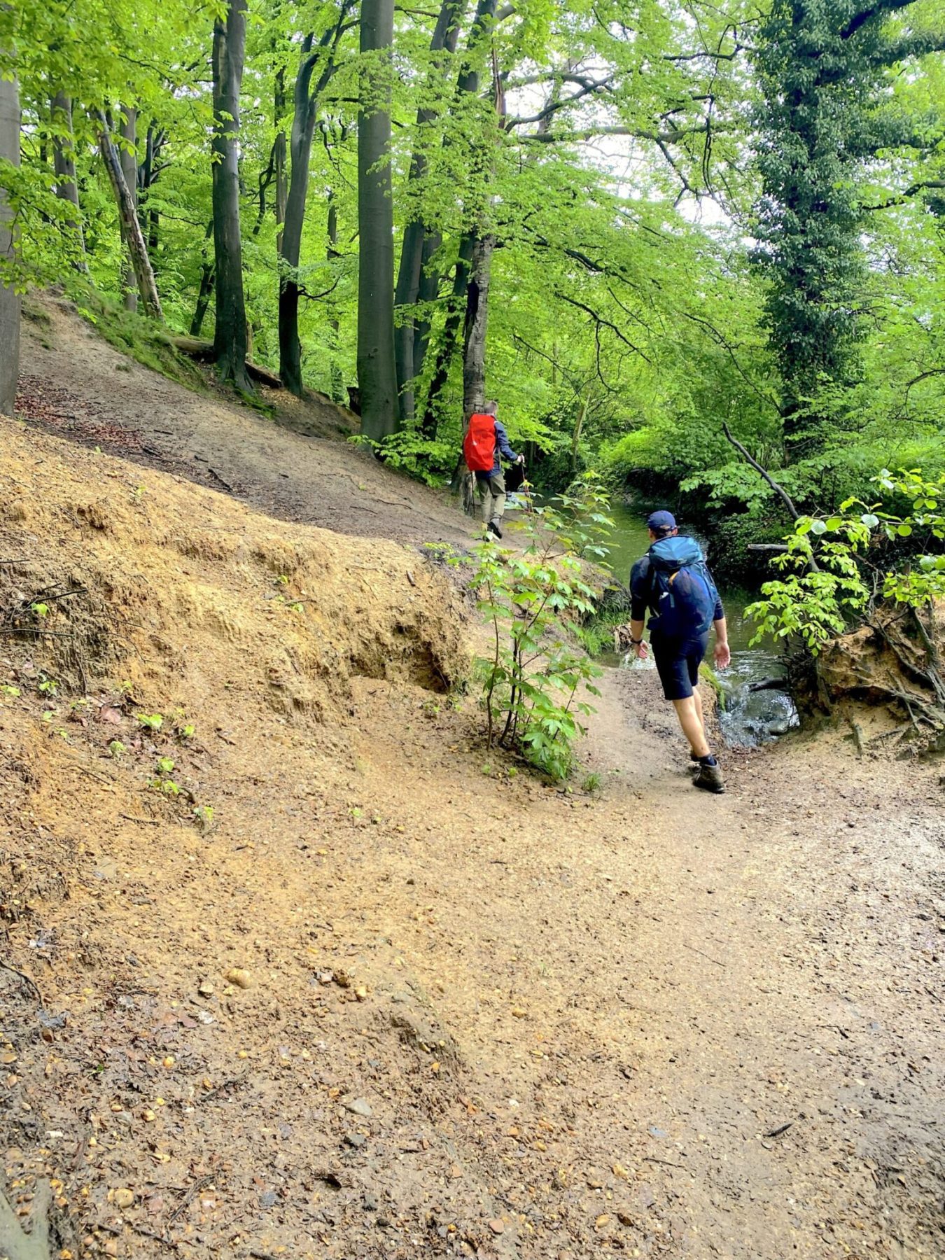 Bever Dutch Mountain Trail: hiken over de 7 bergtoppen van Nederland ...