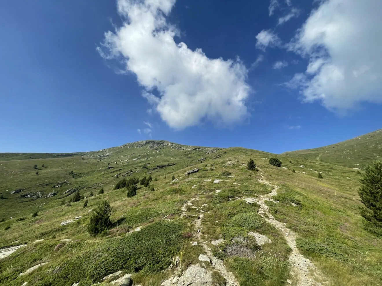 De mooiste plekken in de national parks van Noord-Macedonië - The Hike