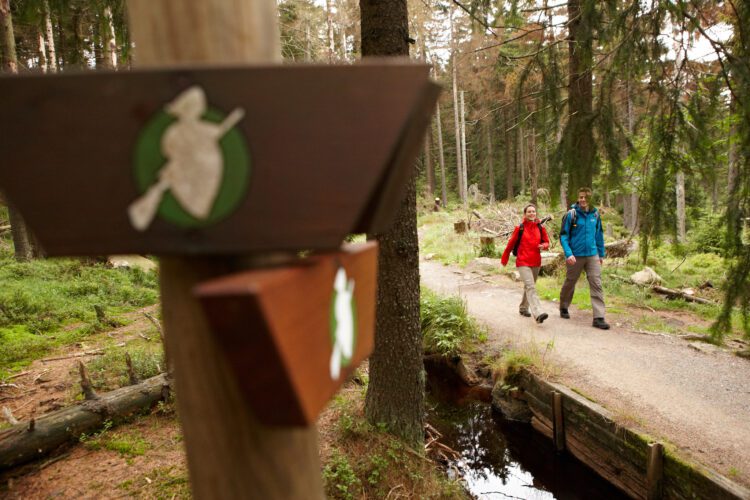 Sprookjesachtig hiken op de Hexen-Stieg trail in het Harz gebergte ...
