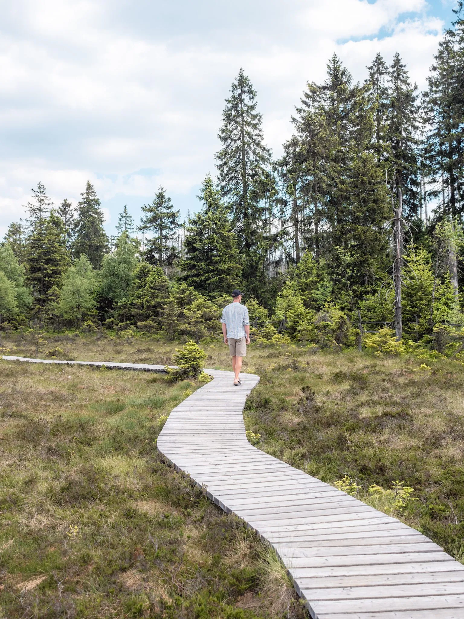 Sprookjesachtig hiken op de Hexen-Stieg trail in het Harz gebergte ...