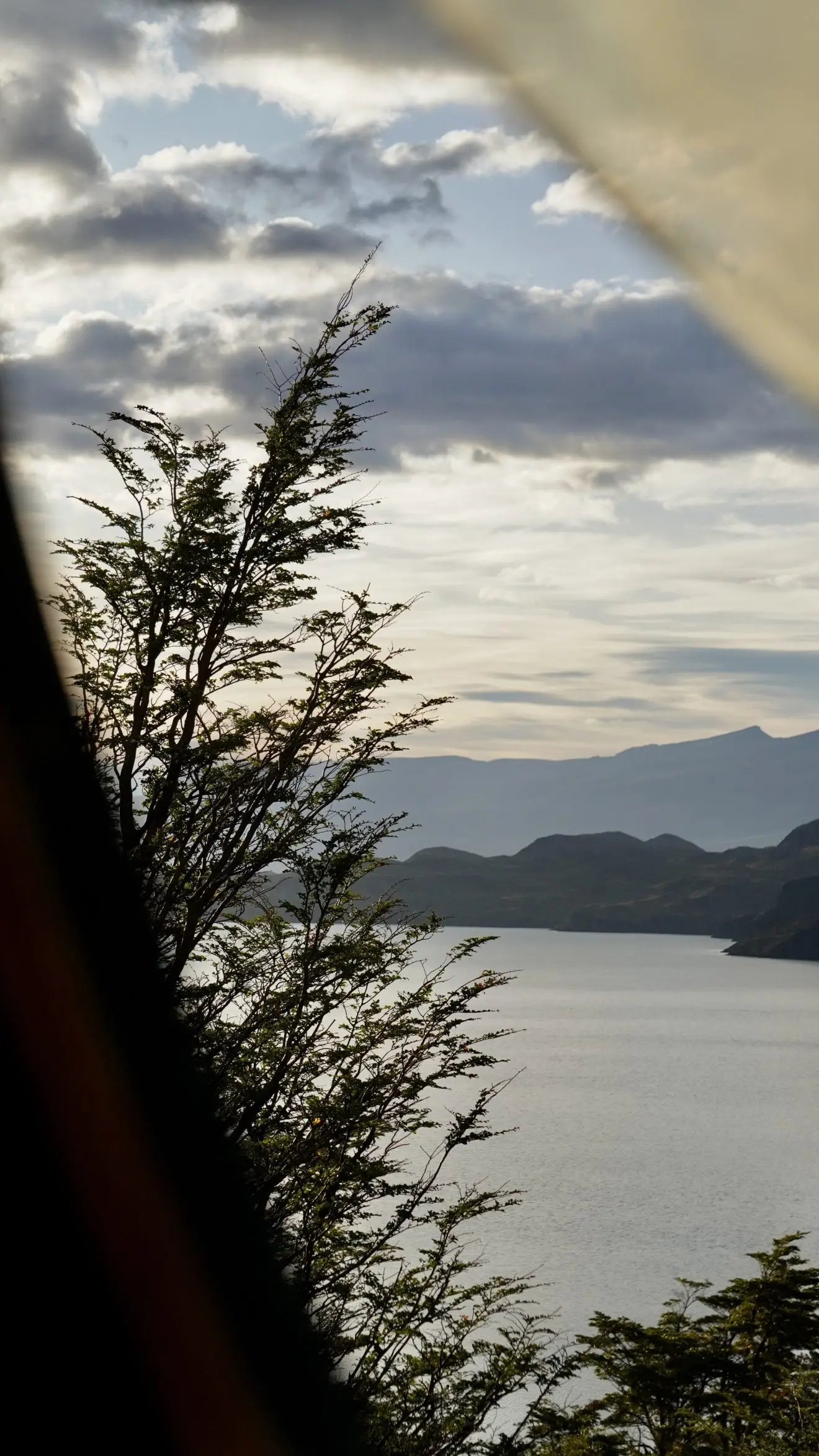 Alles wat je wilt weten over de W-trek in Torres del Paine, Chili - The ...