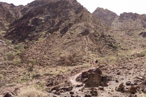 Hiken in Hatta, in het Hajar-gebergte bij Dubai - The Hike