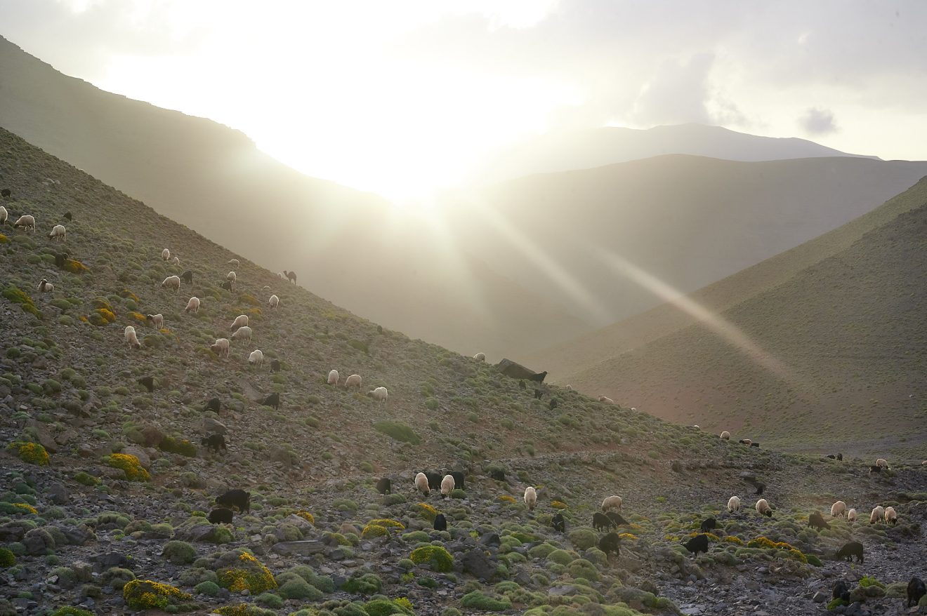 The Atlas Trail | Een uniek Marokkaans hike-avontuur - The Hike