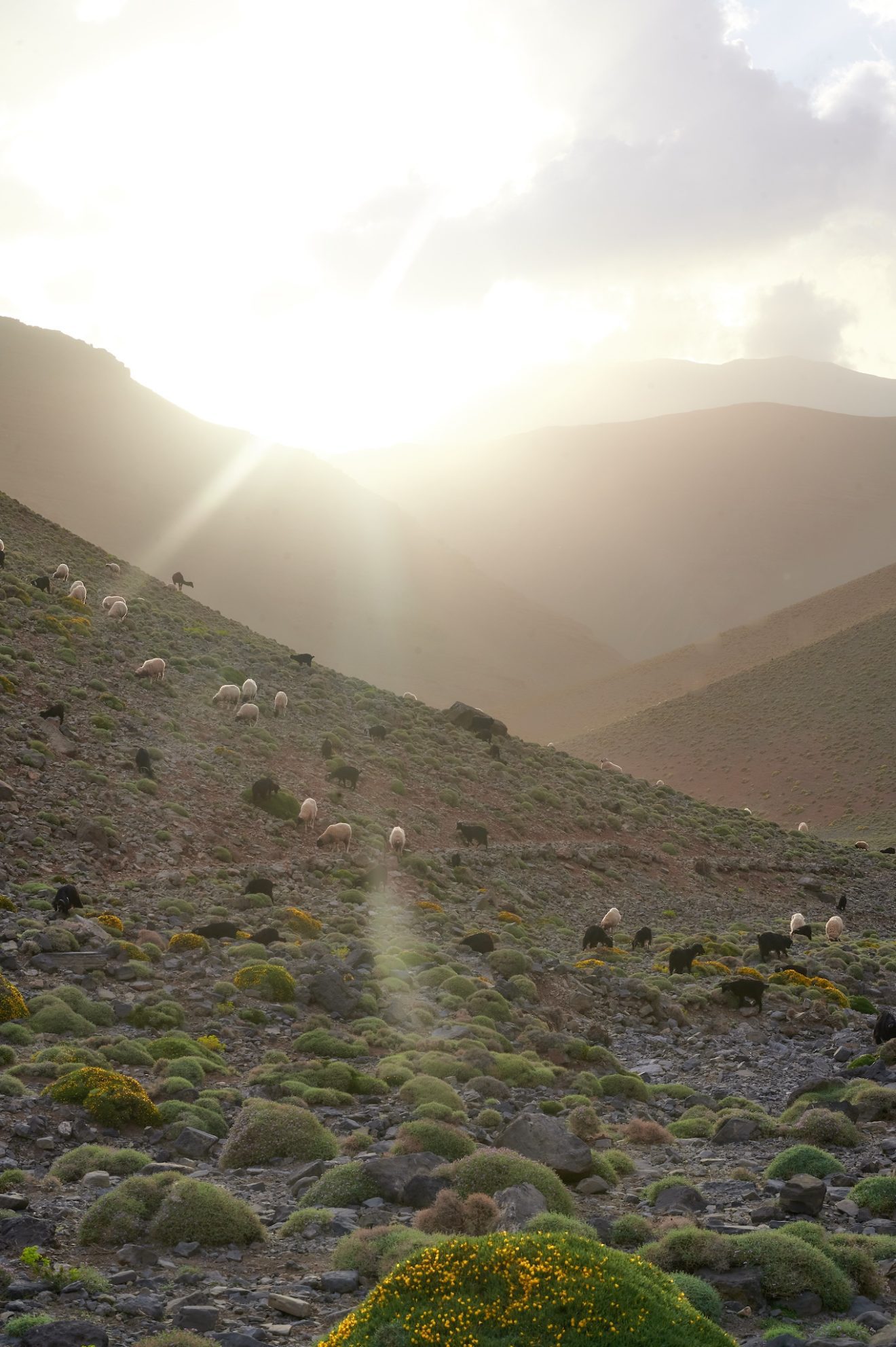 The Atlas Trail | Een uniek Marokkaans hike-avontuur - The Hike