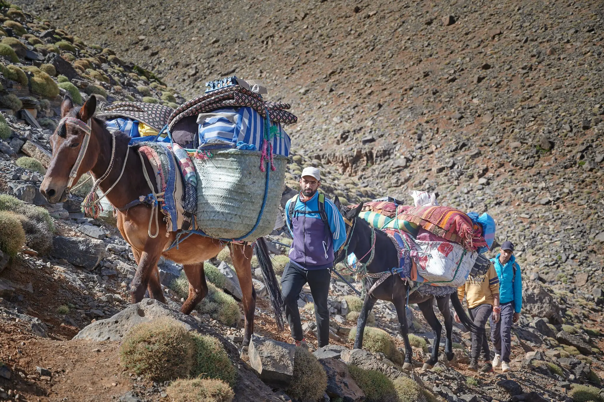 The Atlas Trail | Een uniek Marokkaans hike-avontuur - The Hike