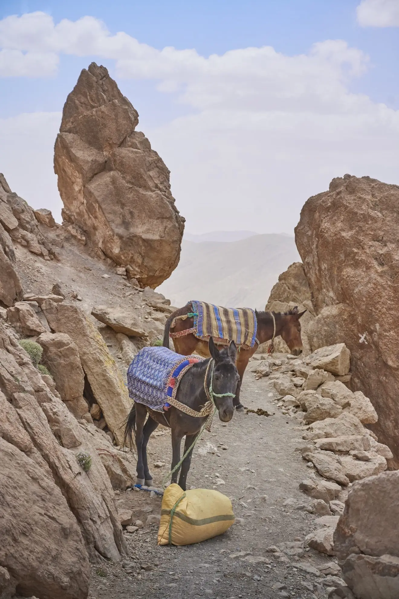 The Atlas Trail | Een uniek Marokkaans hike-avontuur - The Hike