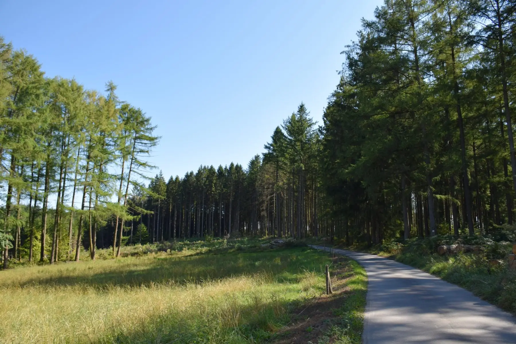 La Transardennaise | 160 km | langeafstandswandeling België - The Hike